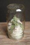 Mini Pine Tree in a Mason Jar - The Crafting Chicks