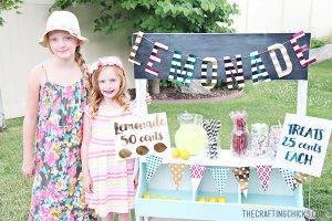 Fancy Lemonade Stand - The Crafting Chicks