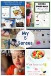 My 5 Senses - Activities and Printables - The Crafting Chicks