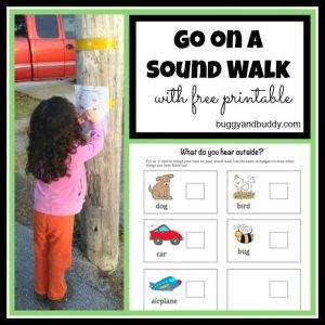 My 5 Senses - Activities and Printables - The Crafting Chicks