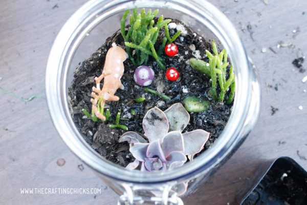 How To Make A Terrarium With Kids