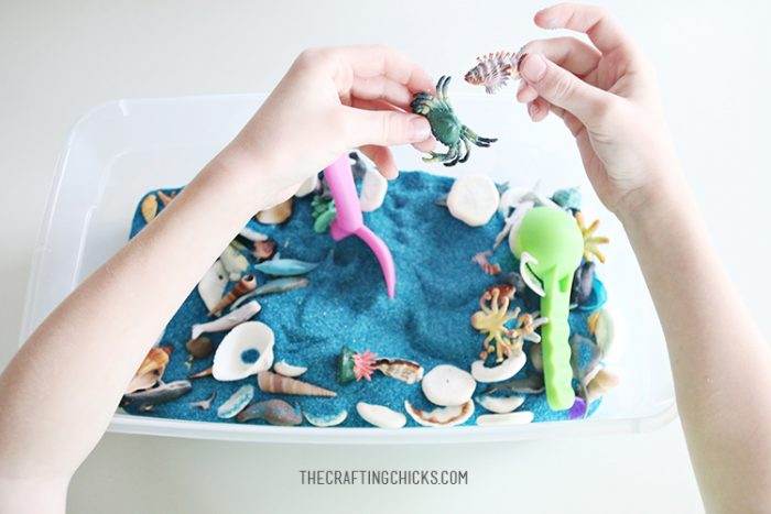 Summer Sensory Bin - The Crafting Chicks