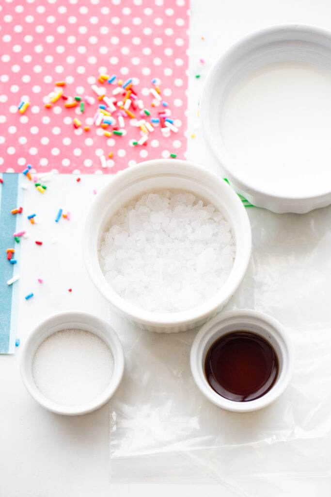 Ice Cream in a Bag "Science" recipe - The Crafting Chicks