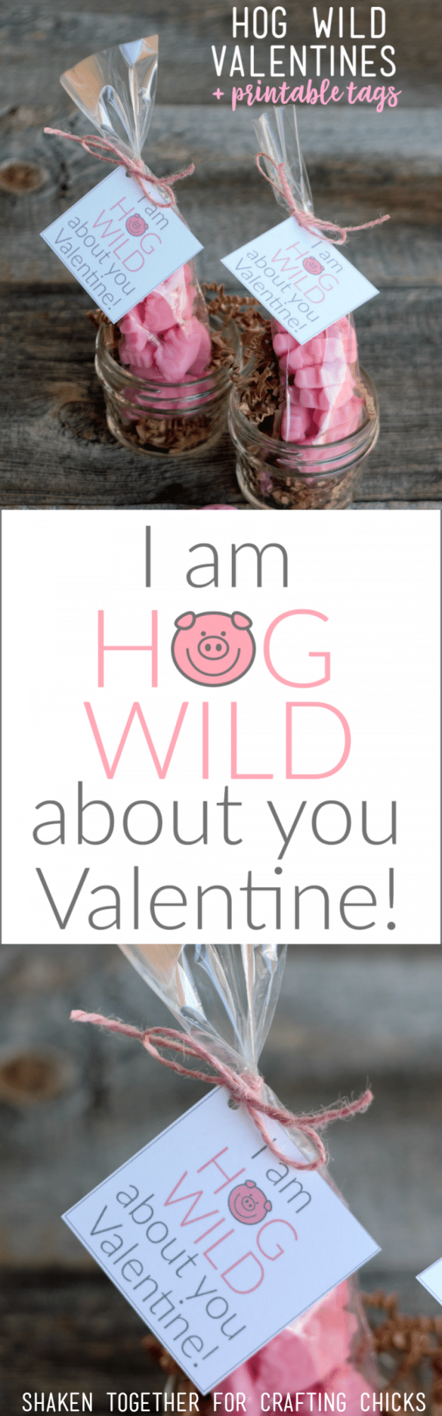 I Am Hog Wild About You Valentines & Printable Tags - The Crafting Chicks