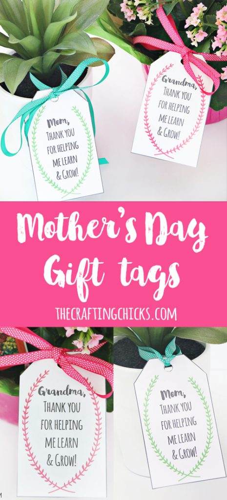 Free Printable Mother’s Day Gift Tags – A Thoughtful Touch for Mom’s ...