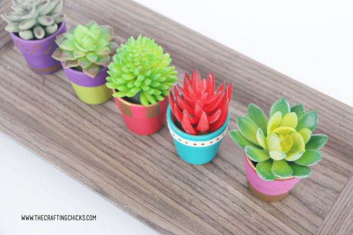 DIY Mini Painted Succulent Pots - The Crafting Chicks