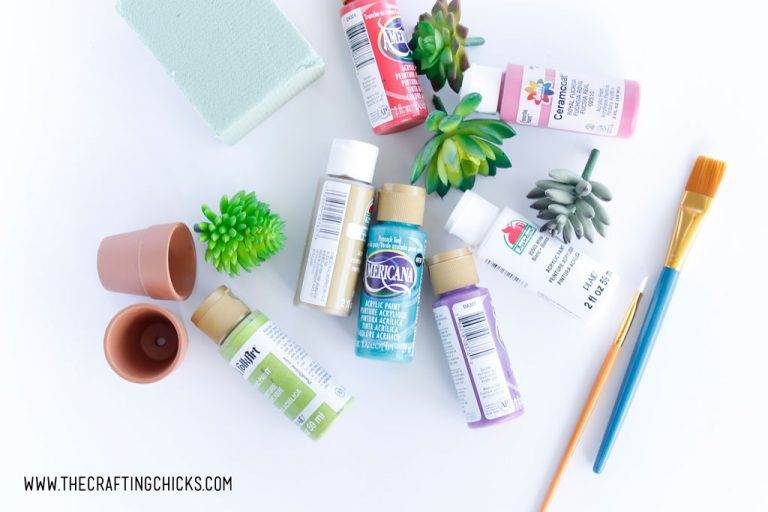 DIY Mini Painted Succulent Pots - The Crafting Chicks