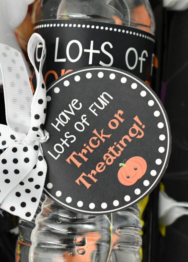 Trick or Treat Halloween Gift Idea - The Crafting Chicks