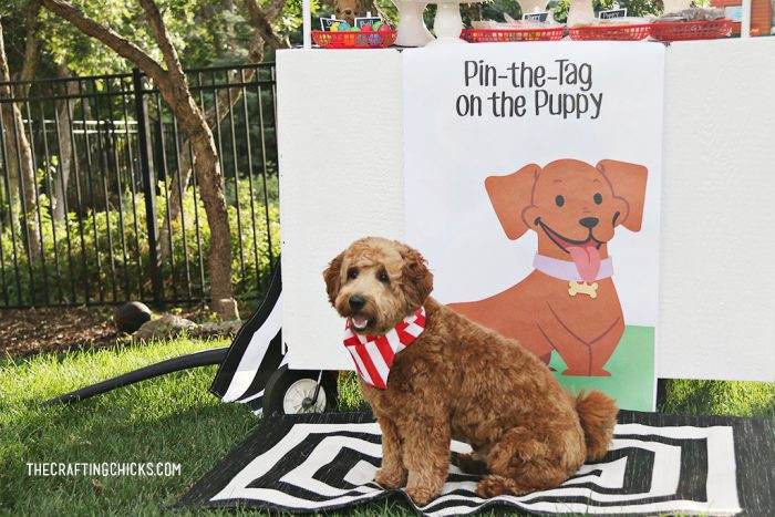 Pin the Tag on the Puppy Printable - The Crafting Chicks