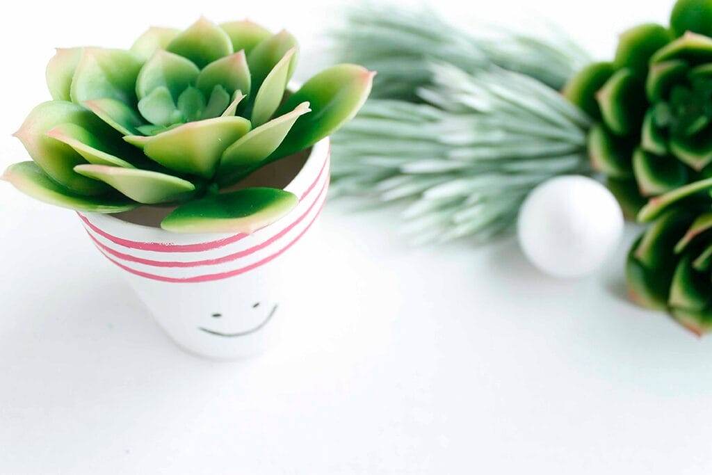 Smiley Face Painted Pots for Plants - The Crafting Chicks