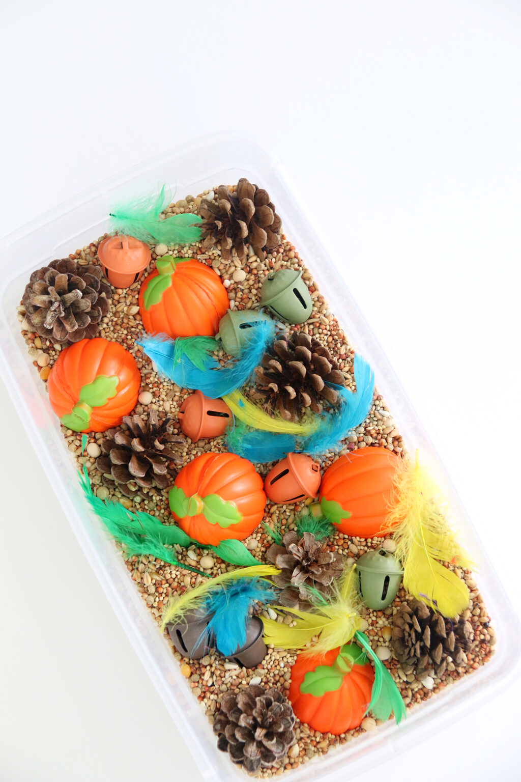 Thanksgiving Fall Sensory Bin for Kids: Easy Setup for Preschoolers ...